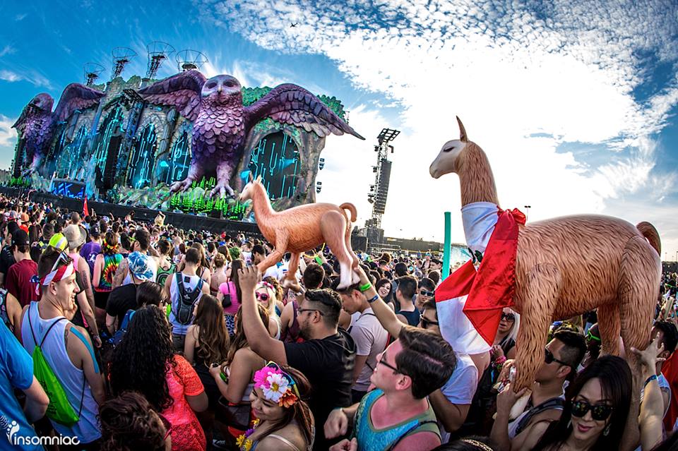 Saiba o que levar para o #EDCBR | Wonderland in Rave