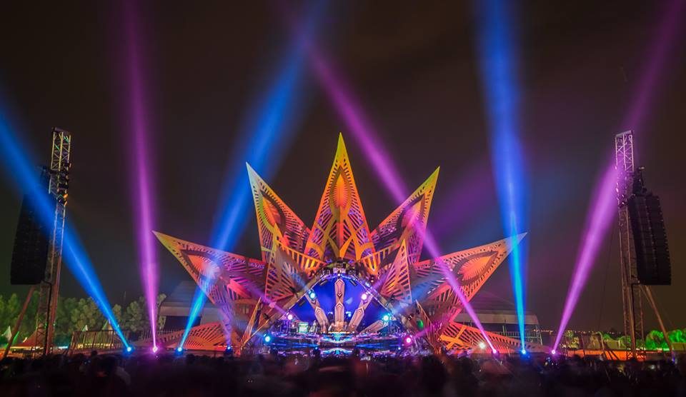 "TRIBE" A 15 anos transformando paixão em celebração | Wonderland in Rave