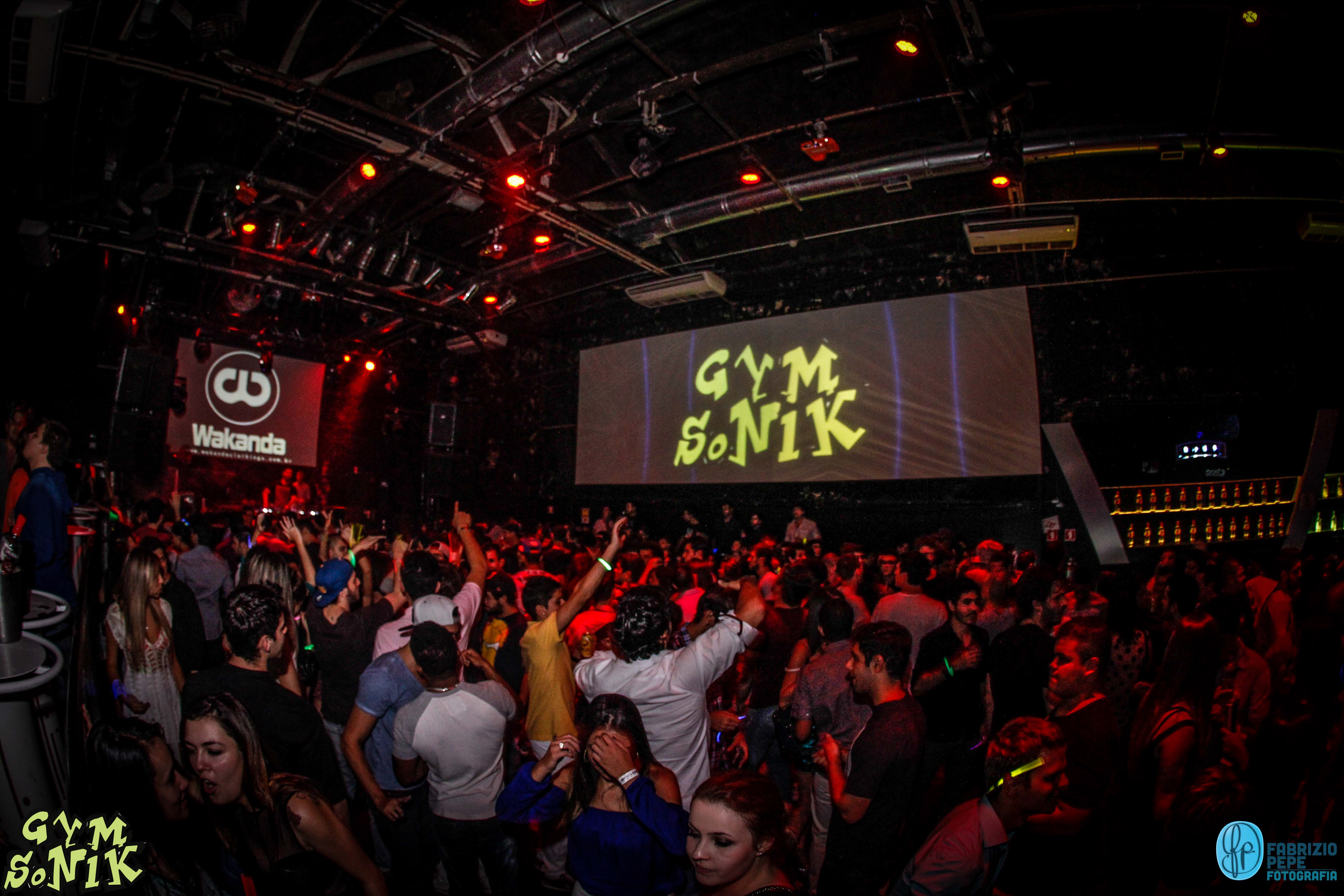 Gym Sonik em uma festa inesquecível? | Wonderland in Rave